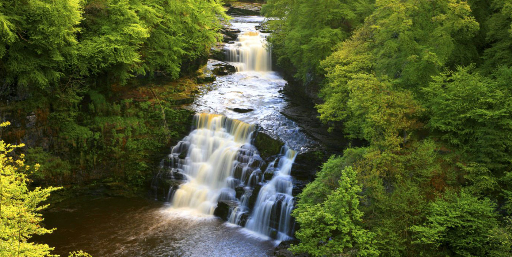 Radstone Hotel Lanarkshire | Accommodation & Dining | Discover